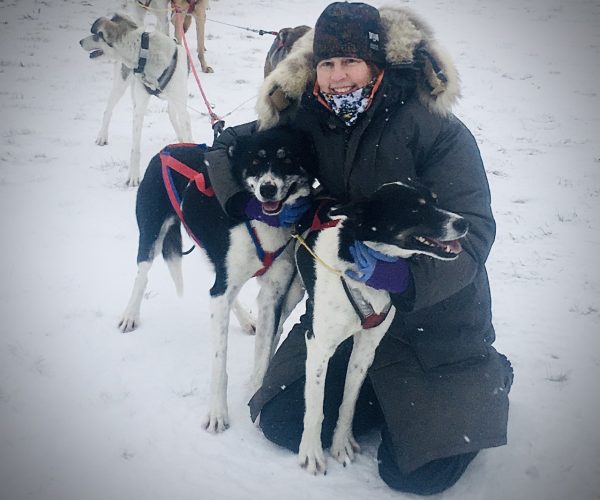 Mary Beth Logue has love for dog sled mushing | News, Sports, Jobs ...